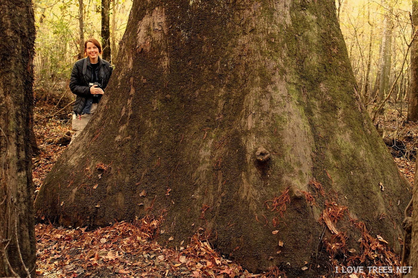 A Winter Walk in Ev-Henwood Nature Preserve
