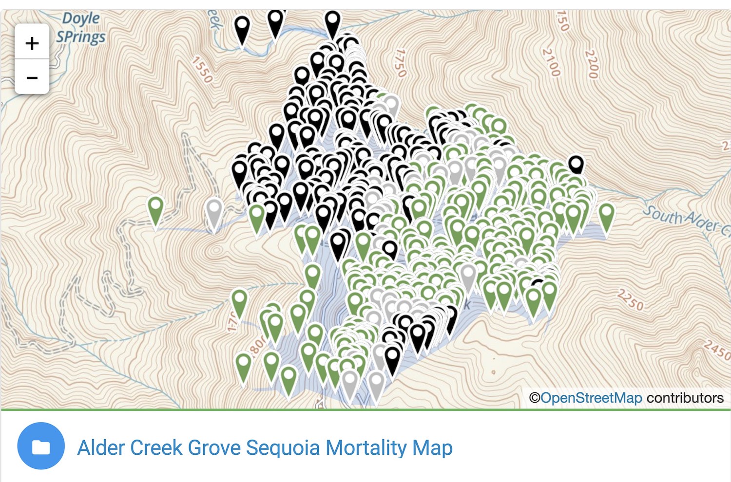 200 Dead Giant Sequoias in Alder Creek Grove – I Love Trees