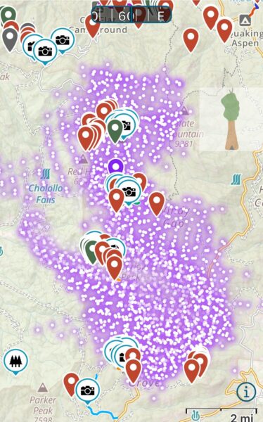 Windy Fire and KNP Complex Burning 22 Sequoia Groves