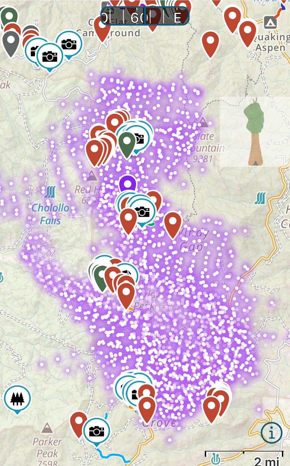 Windy Fire and KNP Complex Burning 22 Sequoia Groves