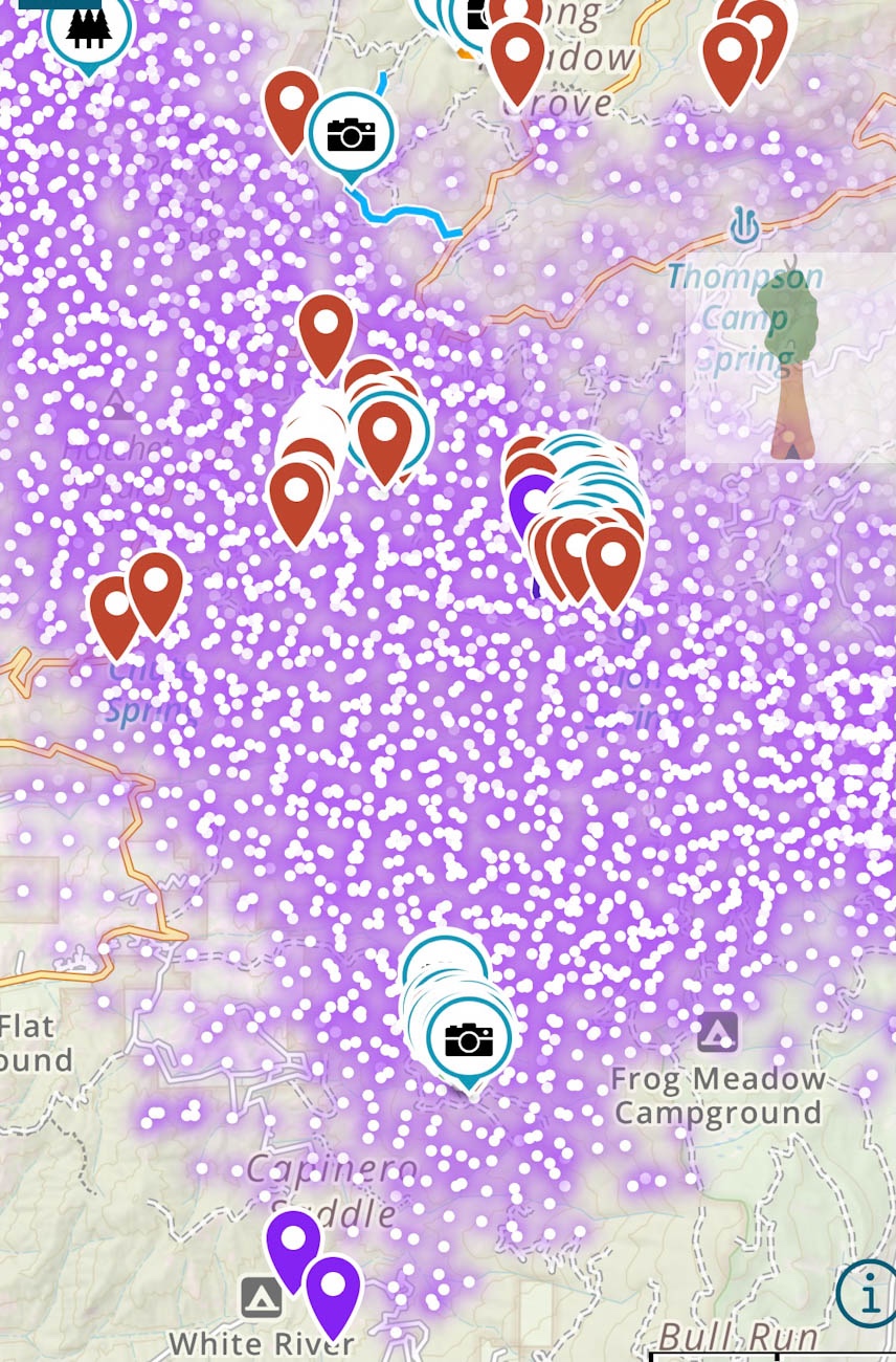 Windy Fire and KNP Complex Burning 22 Sequoia Groves