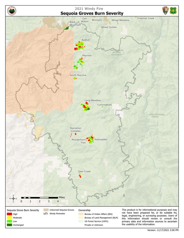 The 2021 KNP Complex Fire and Windy Fire Impacts on Sequoias – I Love Trees